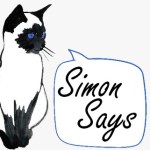 Simon Says Siamese Cattery – We are a small home-based cattery on ...