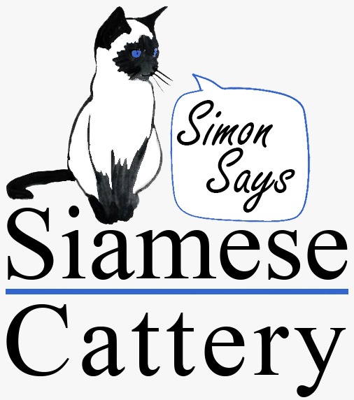 Simon Says Siamese Cattery – We are a small home-based cattery on ...